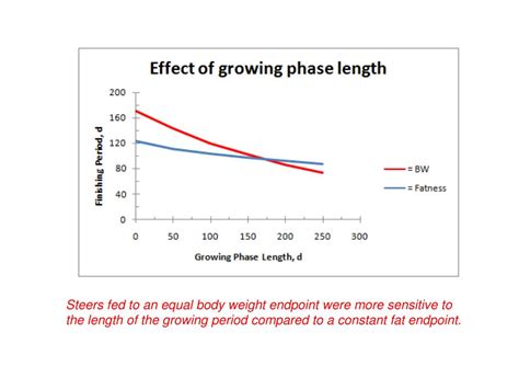 Ppt Stocker Programs Feedlot Performance And Carcass Merit Powerpoint Presentation Id5608608