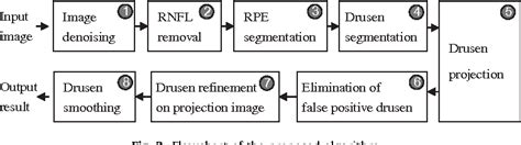 Figure 1 From Automated Drusen Segmentation And Quantification In Sd Oct Images Semantic Scholar
