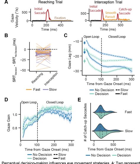 Figure 1 From Perceptual Decisions About Object Shape Bias Visuomotor Coordination During 1