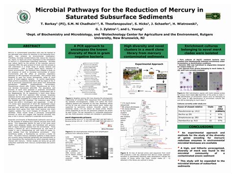 Pdf Microbial Pathways For The Reduction Of Mercury In Microbial Pathways For The