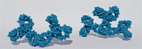 Aggregation Analysis Biofidus Ag