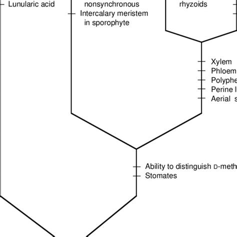 1 Examples Of Monophyletic A Paraphyletic B And Polyphyletic C