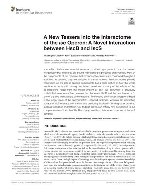 pdf a new tessera into the interactome of the isc operon a novel