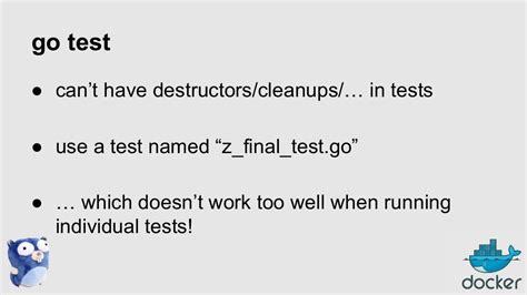 Go Test Cant Have