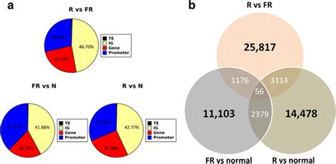 Characterization Of Differentially Methylated Regions For Light Download Scientific Diagram
