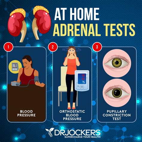 How To Test Your Adrenal Function