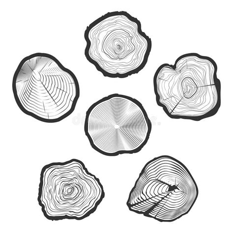 Tree Rings Vector Set Stock Vector Illustration Of Firewood 76200455