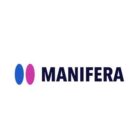 Manifera Experienced Reliable Software Development Teams