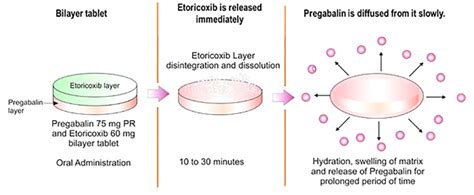 Bilayer Tablet From Oral Administration To After Contact With Gastric