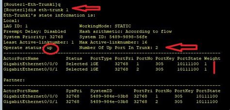 Ether Trunk Bundling On The Huawei Ne40 X30 Router Timigate