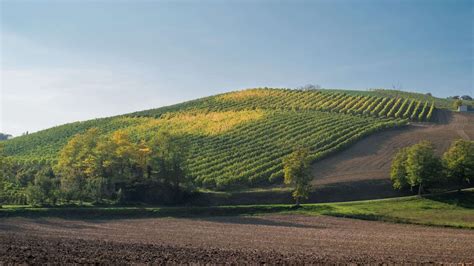 What Are Geographical Indications Etb Ip Law Firm