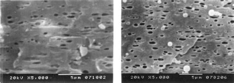 Sem Micrographs Of Films Prepared From Compatibilized Pa6ldpe Blends