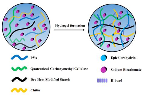Gels Free Full Text Synthesis And Characterization Of Starch Based Acid And Alkali