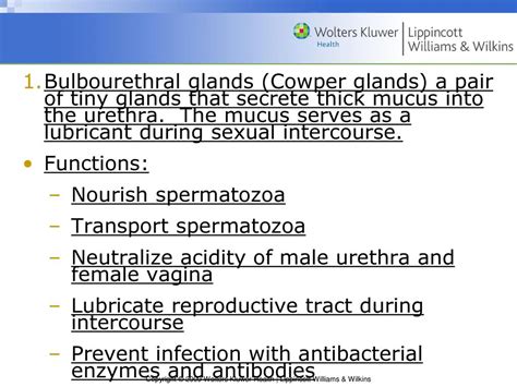 Memmlers The Human Body In Health And Disease 11th Edition Ppt Download