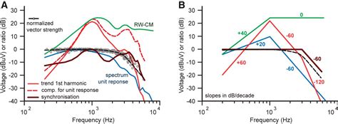 Assessment Of The Limits Of Neural Phase Locking Using Mass Potentials Journal Of Neuroscience