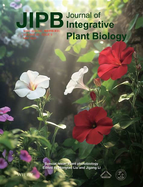 Transcription Factor Oswrky11 Induces Rice Heading At Low