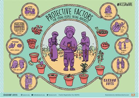 What Is Trauma Informed Practice A New Direction