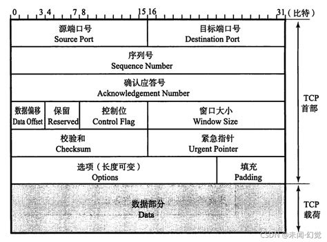 ＜tcp 协议内容分析＞＜1＞基于wireshark分析tcp交互数据包wireshark解析tcp报文的内容 Csdn博客