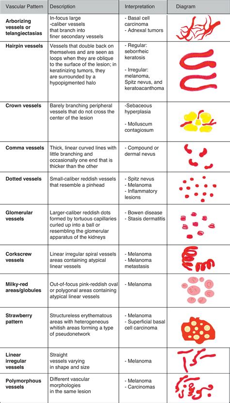 Pin On Dermatología