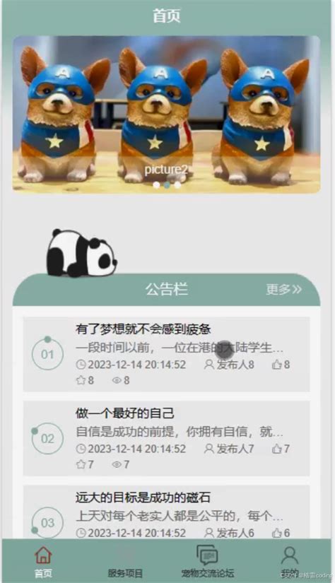 基于springboot的宠物美容管理系统的设计与实现源码lw调试文档 Csdn博客