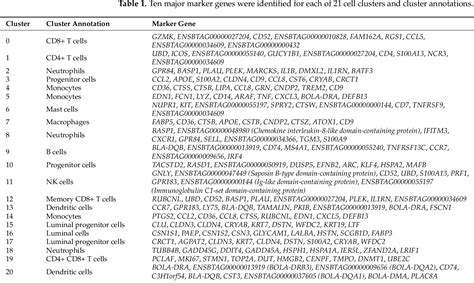 Table 1 From A Single Cell Transcriptome Of Bovine Milk Somatic Cells Semantic Scholar