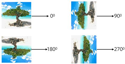 Self Supervised Learning