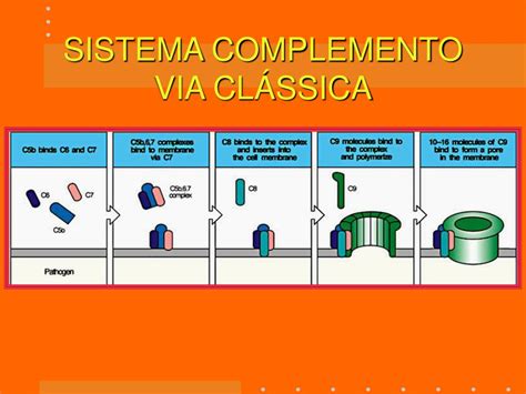 Ppt Sistema Complemento Powerpoint Presentation Free Download Id 1005075