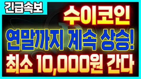 코인추천 수이코인 연말까지 계속 상승합니다 최소 10000원 이상 갑니다 수이 수이코인 수이코인전망 수이호재