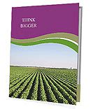 Soya Bean Plantation Rows Of Healthy Soybean Plants In A Field Presentation Folder Design ID