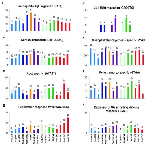 Abundance Of Transcription Factor Regulatory Motifs Identified In Download Scientific Diagram