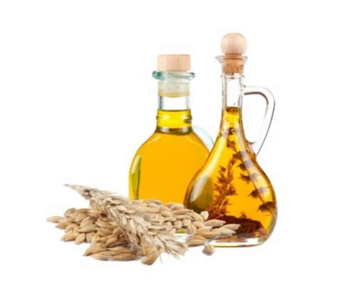 Oat Seed Oil 100 Pure At ₹ 1500 Kg In Bengaluru Id 2856362133330