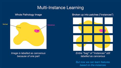 Multi Instance Learning A Gentle Introduction And Practical Guide By