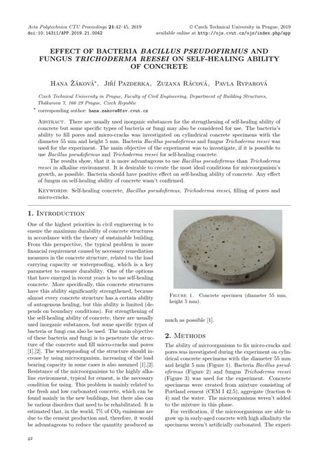 Pdf Effect Of Bacteria Bacillus Pseudofirmus And Fungus Trichoderma Reesei On Self Healing