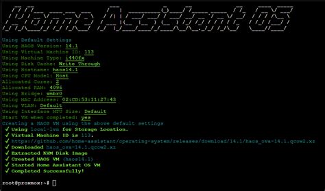 installing home assistant vm on proxmox