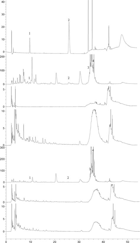 Hplc Output Chromatograms Of Standard Phenolic Compounds Mixer 1