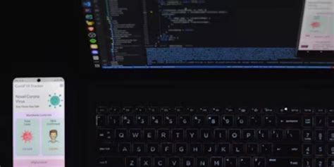 A Beginners Guide To Restful Apis In Software Engineering Dev Community