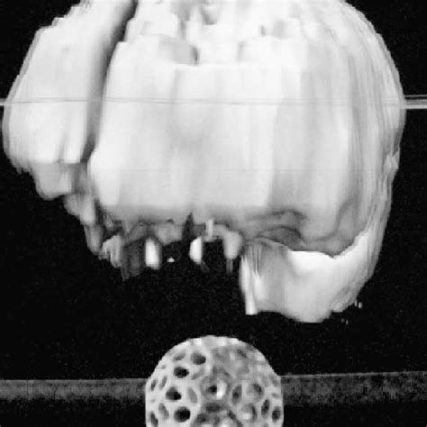 Sphere Spatializer On The Bridge Of The Allosphere Download Scientific Diagram Sphere Spatializer On The Bridge Of The Allosphere Download Scientific Diagram