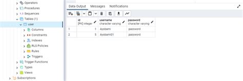 How To Set Up Typeorm Datasource In Your Nestjs Project