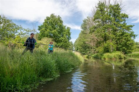 Belgian Biodiversity Platform ☎️ Gbif Call For Proposals ️ Help Mature And Test How Specimens