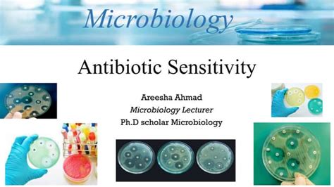 Procedure Of Sensitivity Microbiology For Lab Technicians Ppt