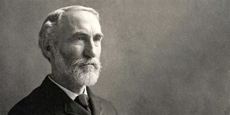 39 Facts About Understory