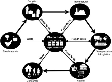 5 Blockchain The Fsc Interoperability Ecosystem Download Scientific Diagram
