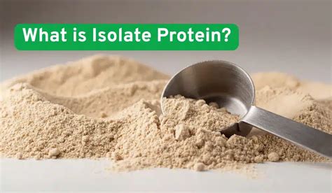 What Is Isolate Protein The Ultimate Guide