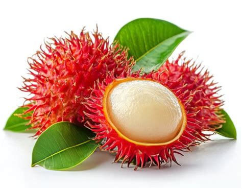 Fresh Rambutan Fruit With Vibrant Red Skin And Juicy White Flesh Shows