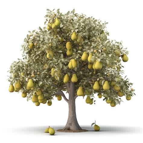 Premium Photo A Pear Tree With Pears On It