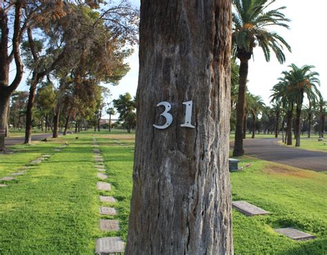 Mary Louise Carter Scheid 1944 1996 Find A Grave Memorial