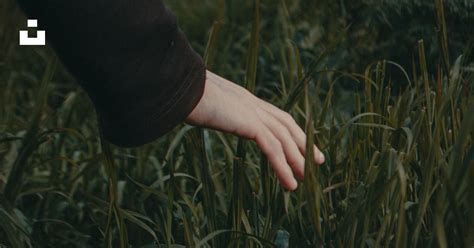 낮 동안 푸른 잔디를 들고 있는 검은색 긴팔 셔츠를 입은 사람 사진 Unsplash의 무료 오데사 이미지