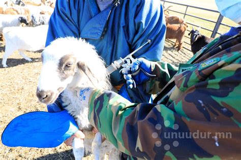 “Охид” арга хэмжээг зохион байгууллаа