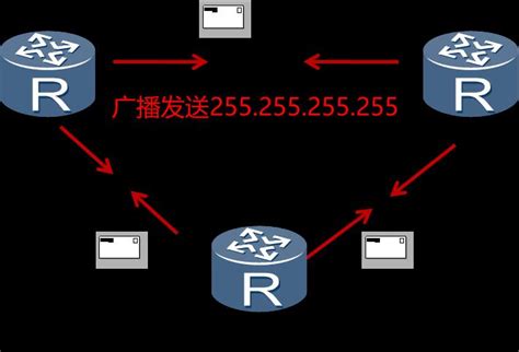 rip（一）【报文结构】 灰信网（软件开发博客聚合）