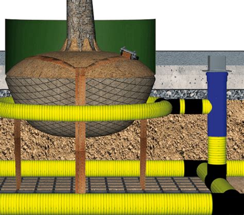 Tree Aeration